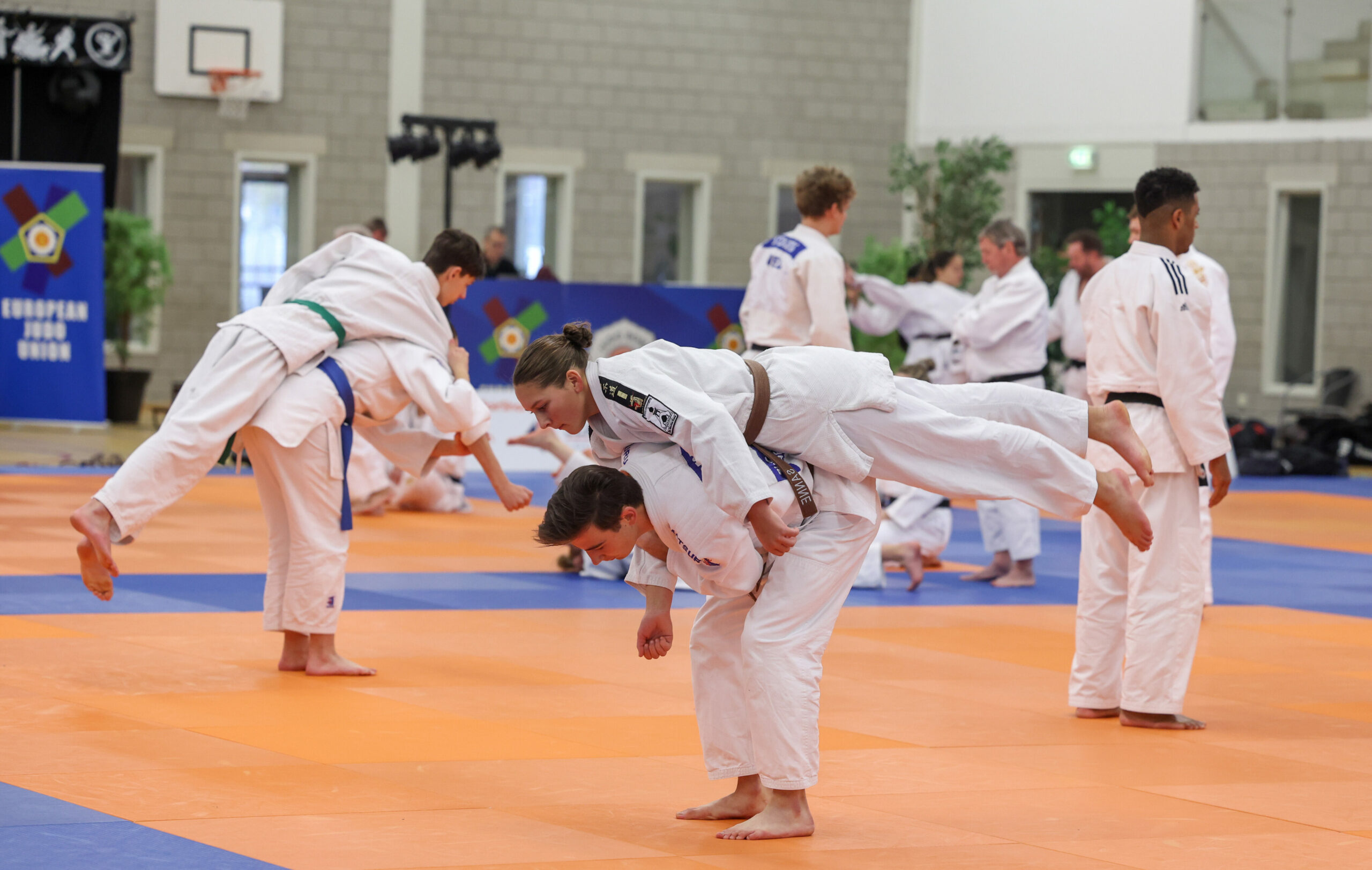 ADAPTED JUDO KATA EVENT IS SET TO BEGIN - European Judo Union