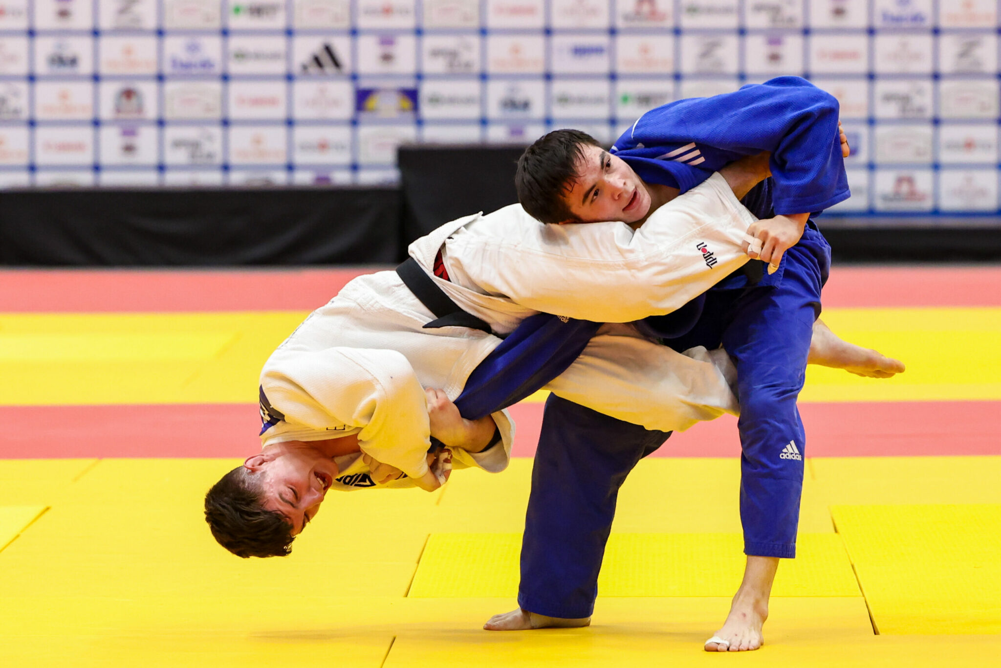 ALLAN ATTRACTS FIRST SENIOR CUP WIN - European Judo Union