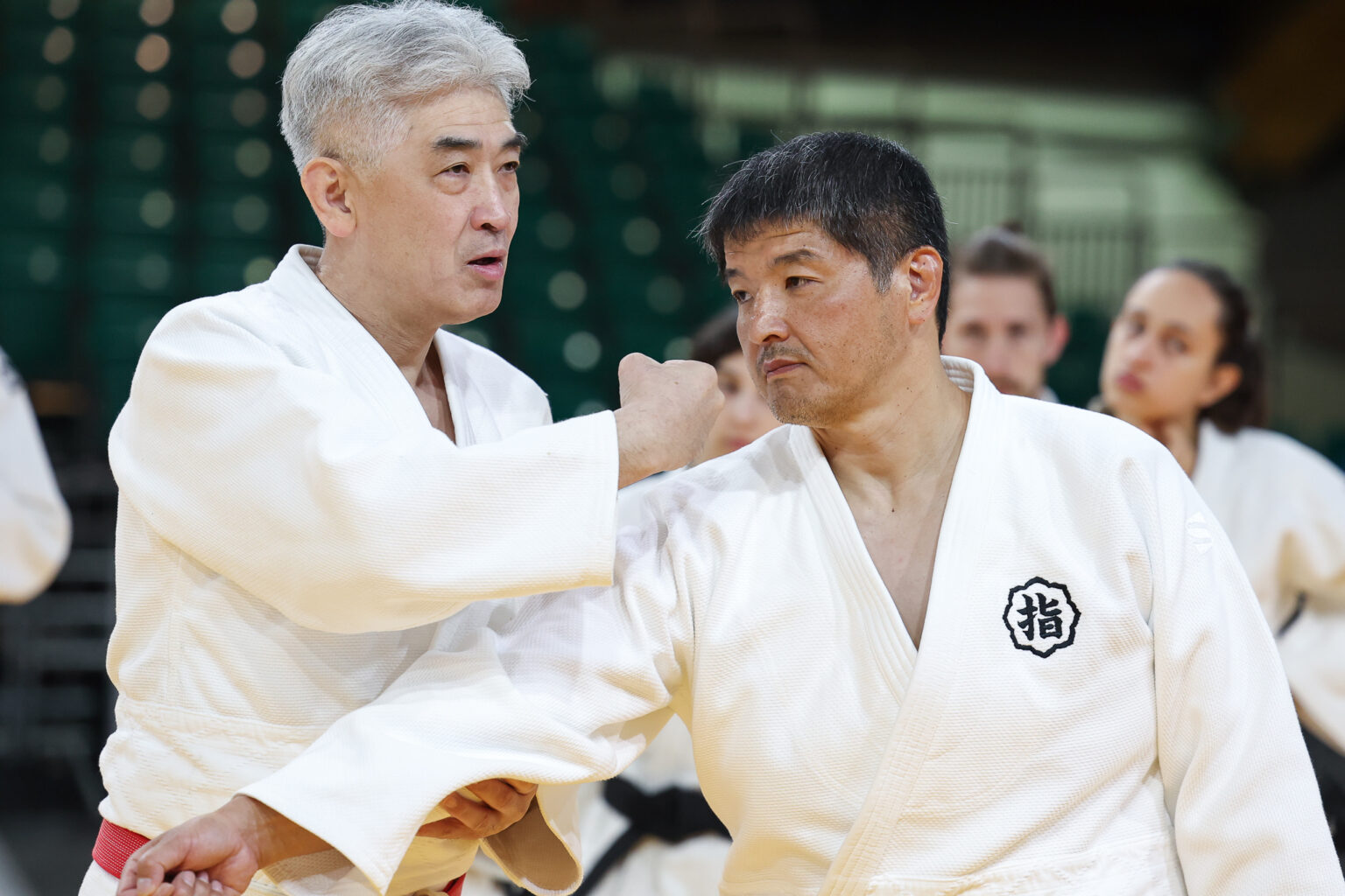 Tradition Meets Innovation - European Judo Union