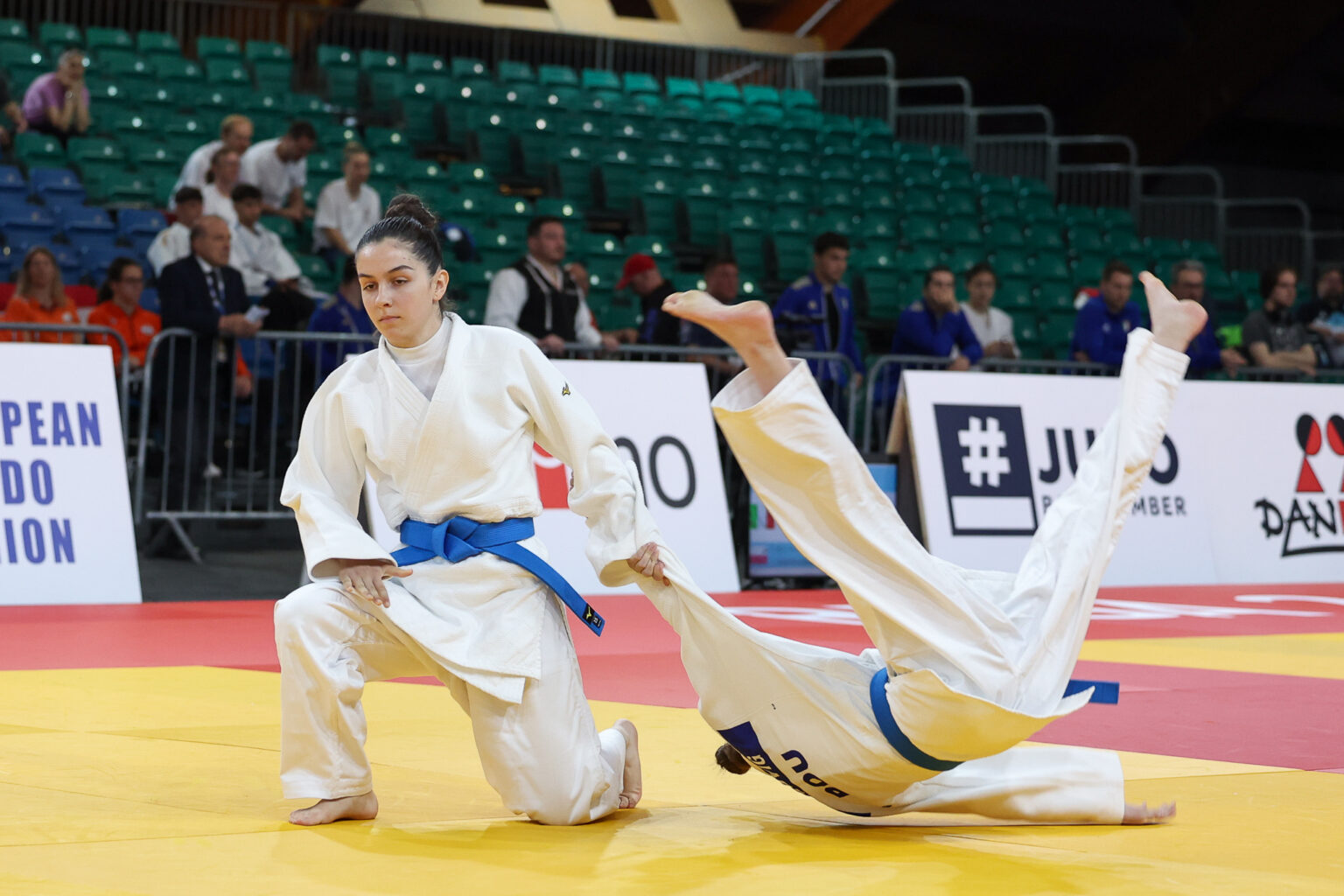 New Categories and Competition System Announced for the EJU Kata Tour ...