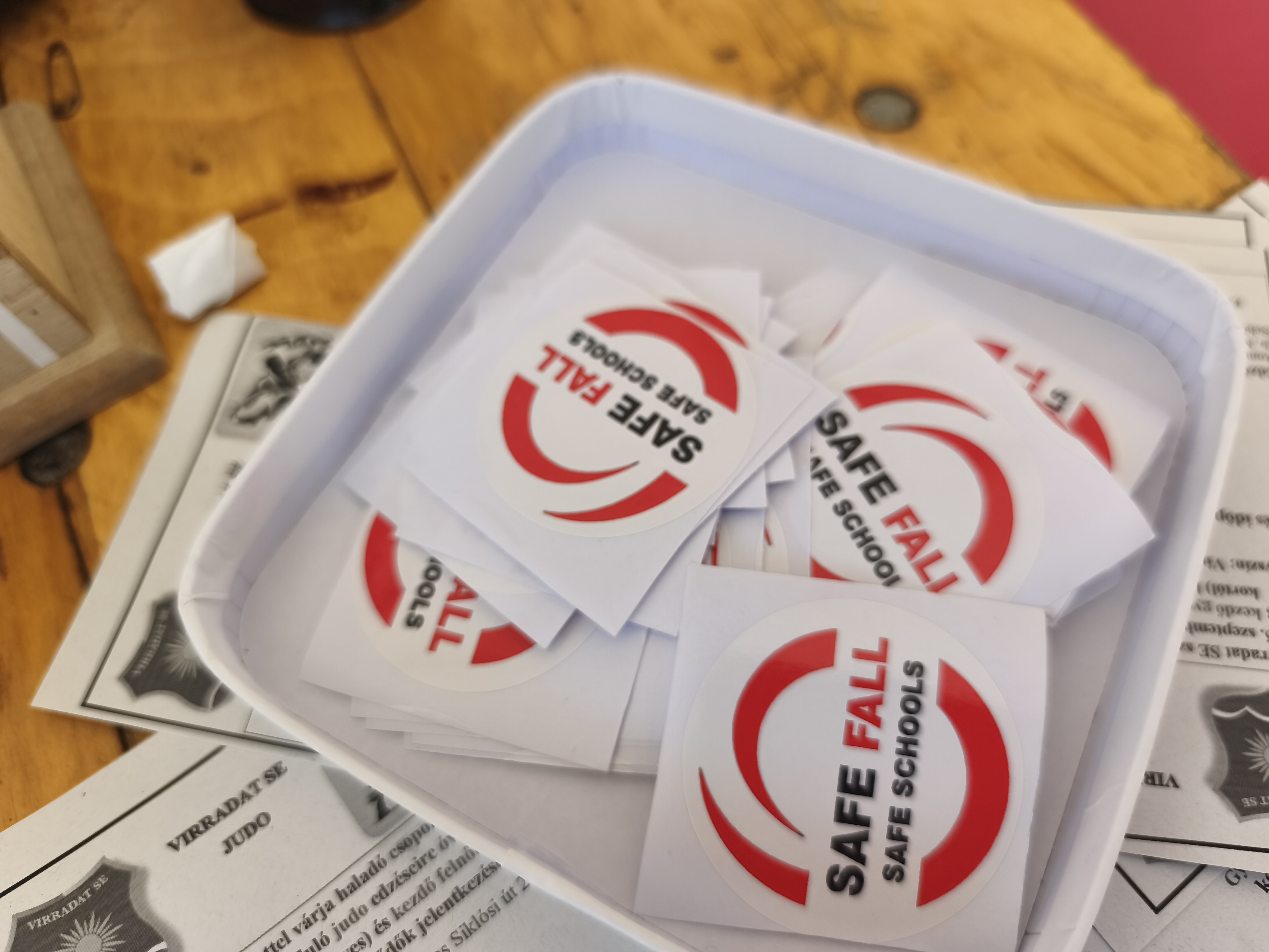 Presentation of the Safe Fall–Safe Schools Project in Pécs - European Judo Union